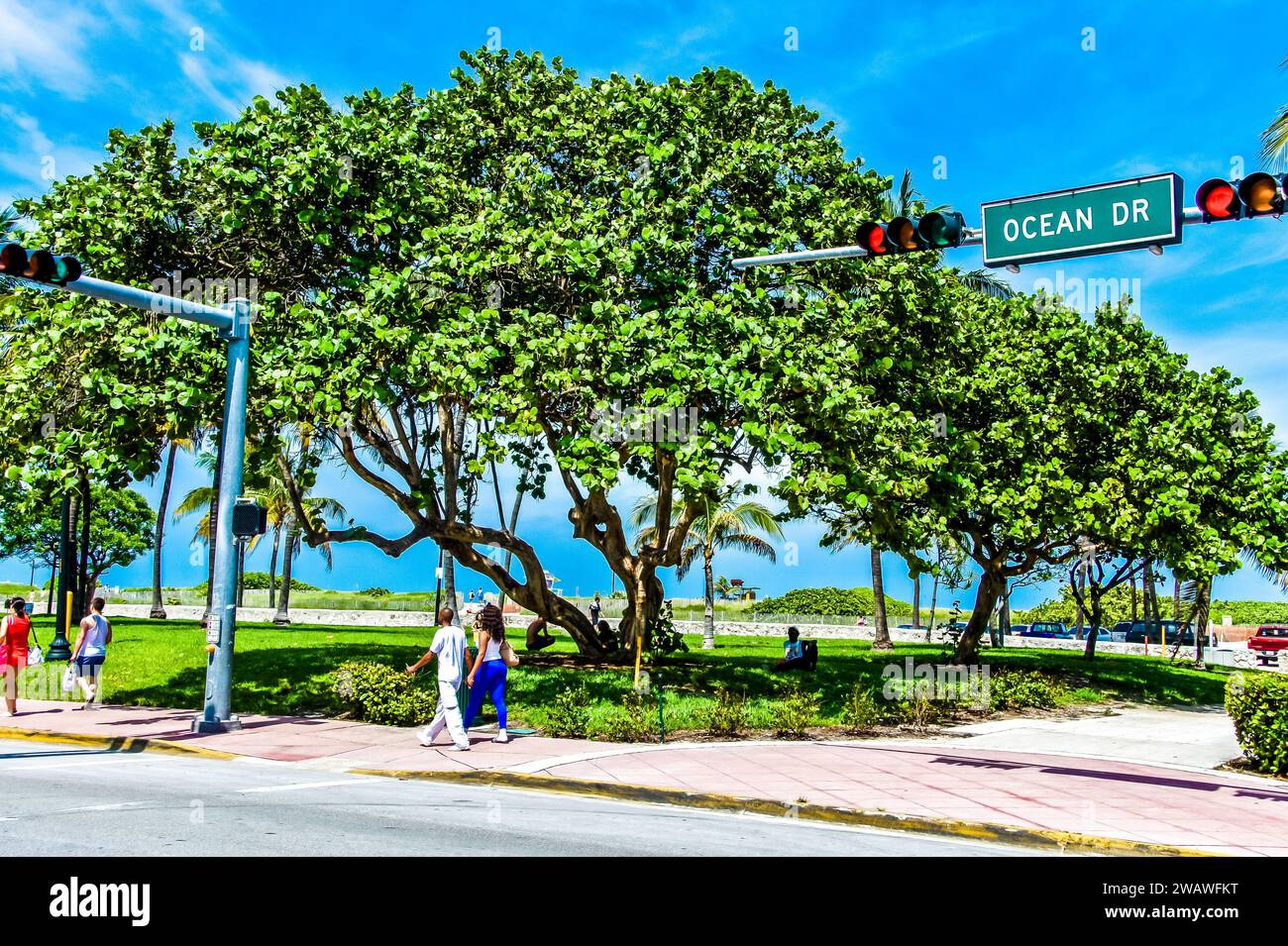 South Beach, Miami, with stunning images capturing the essence of sunny ...