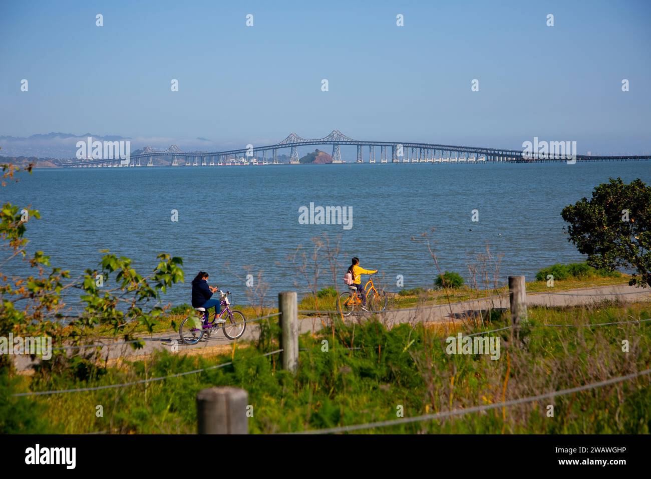 View of Richmond-San Rafael Bridge looking across San Francisco Bay, Bike Path in foreground ...