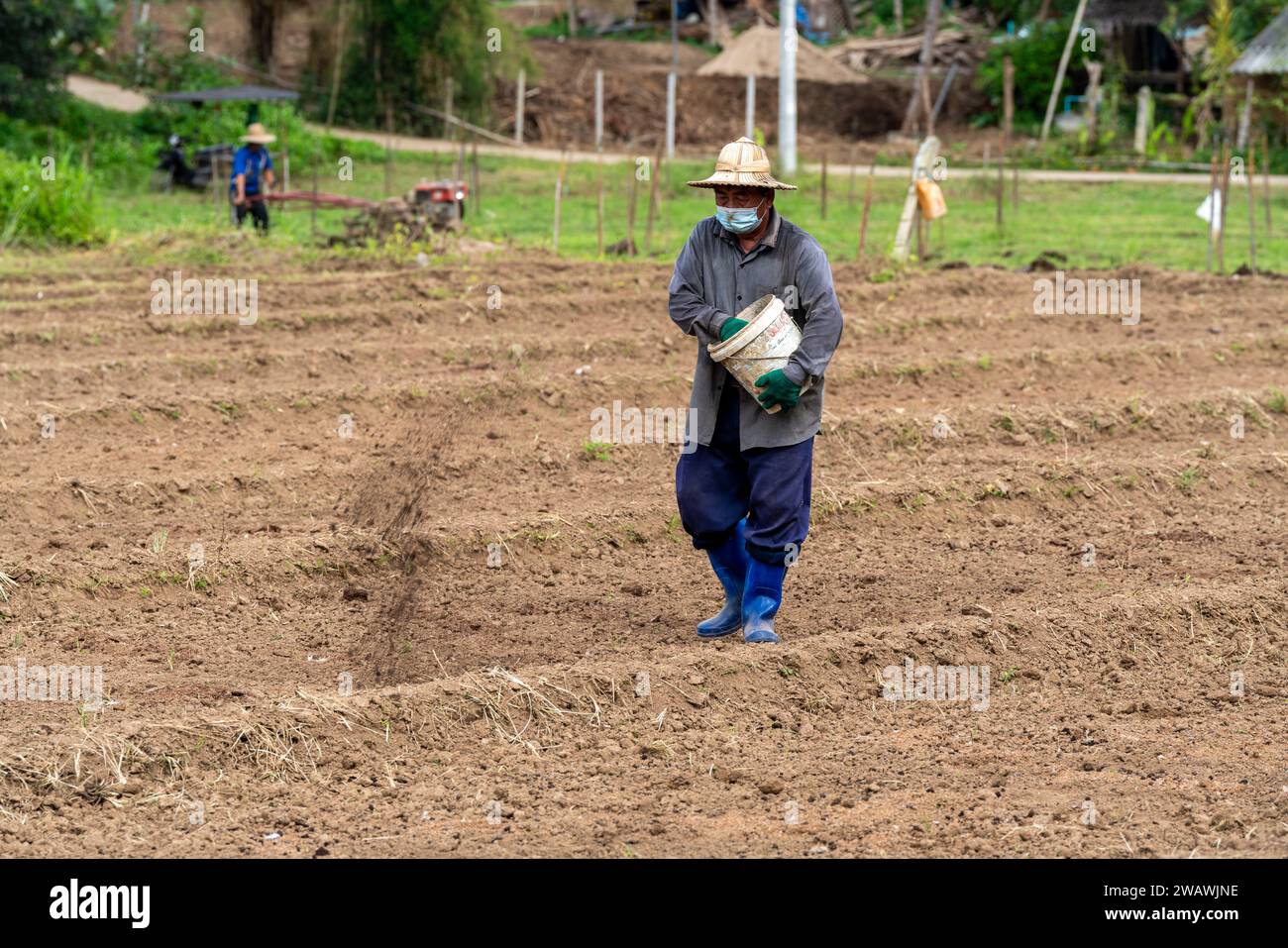 Rice Farmers in Thailand Stock Photo - Alamy