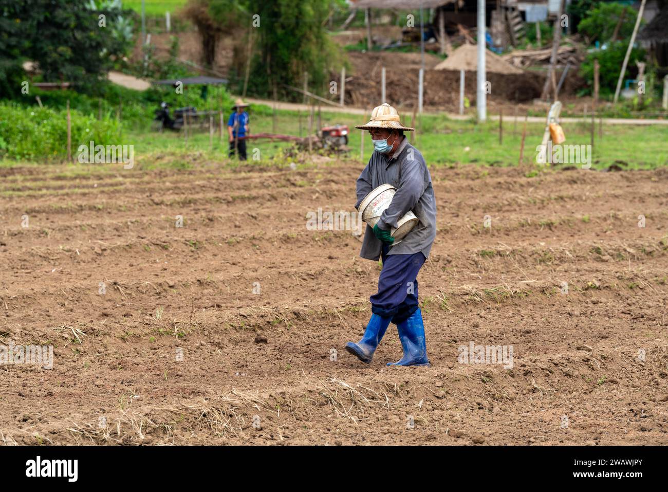 Rice Farmers in Thailand Stock Photo - Alamy
