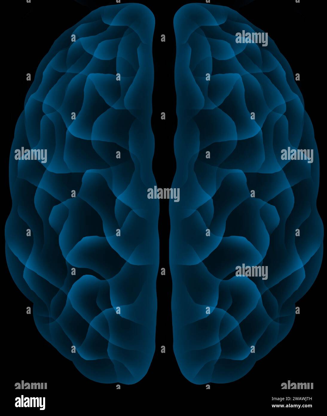 Human brain with neon holographic blue glow futuristic top view Stock Photo - Alamy