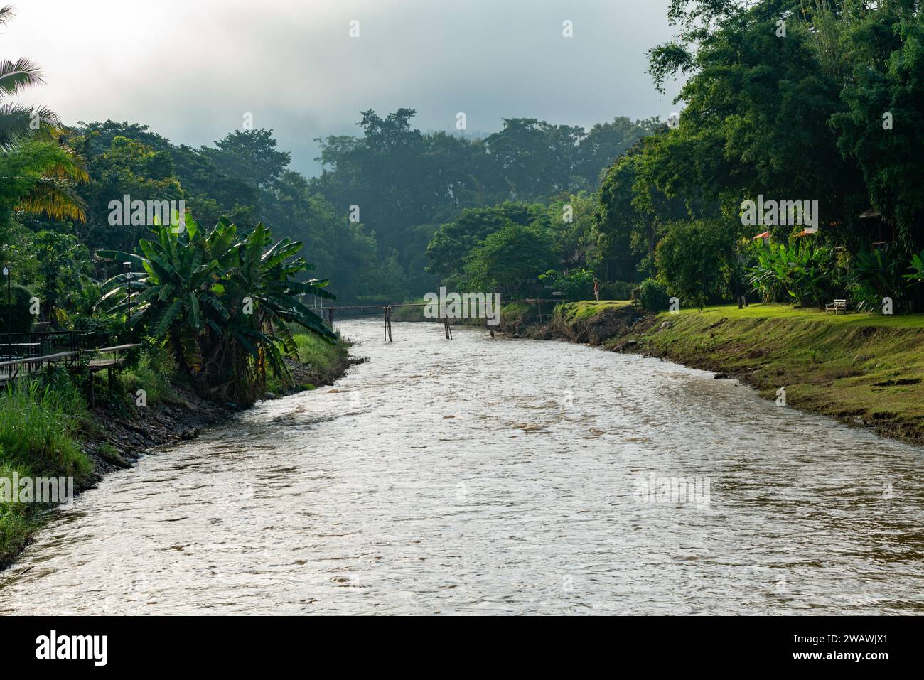 Bamboo walkways hi-res stock photography and images - Alamy
