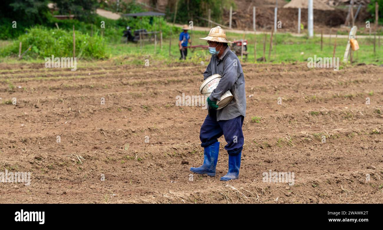 Rice Farmers in Thailand Stock Photo - Alamy