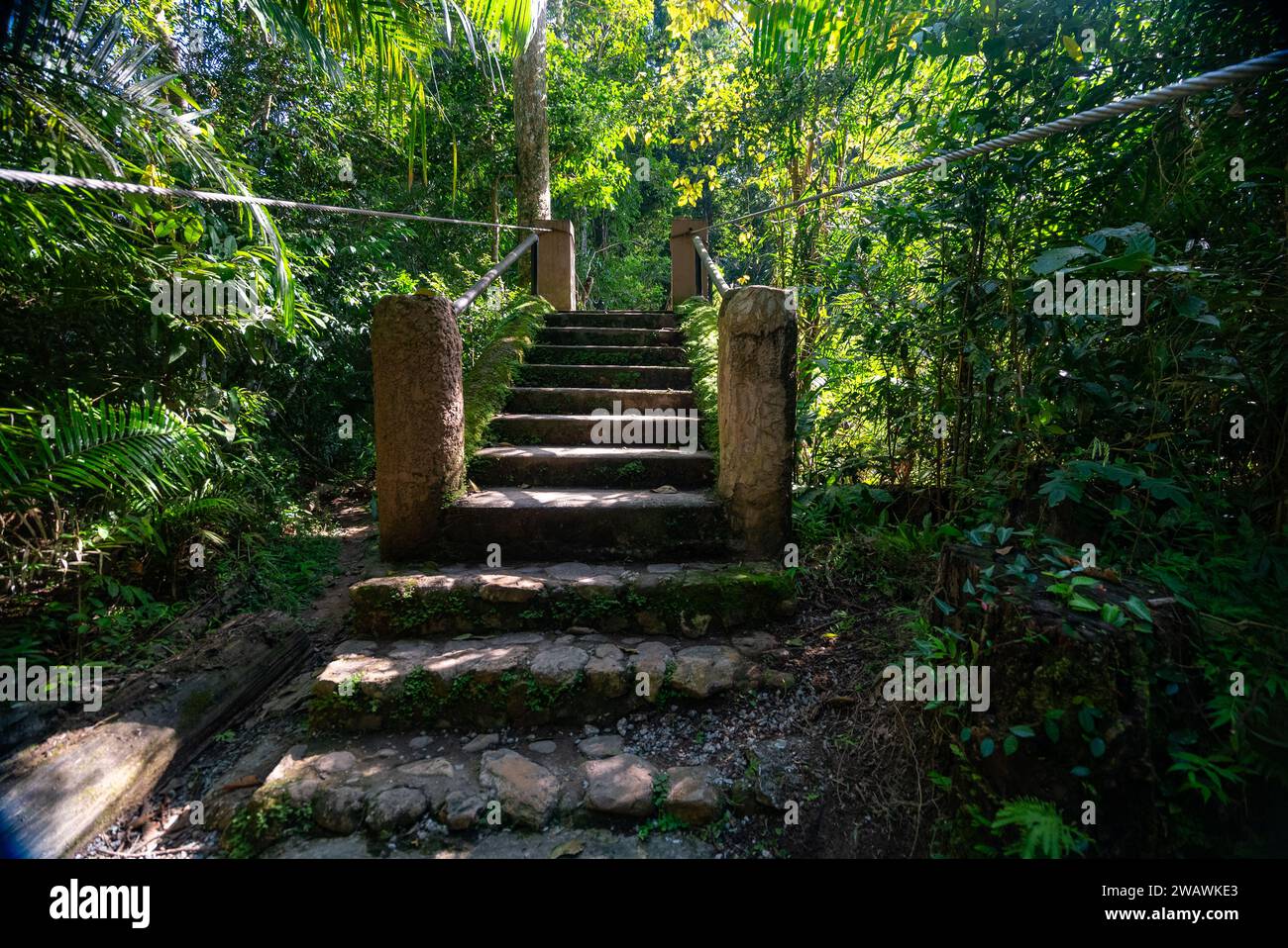 Bridges, Footpaths, Walkways Nature Trails Stock Photo - Alamy