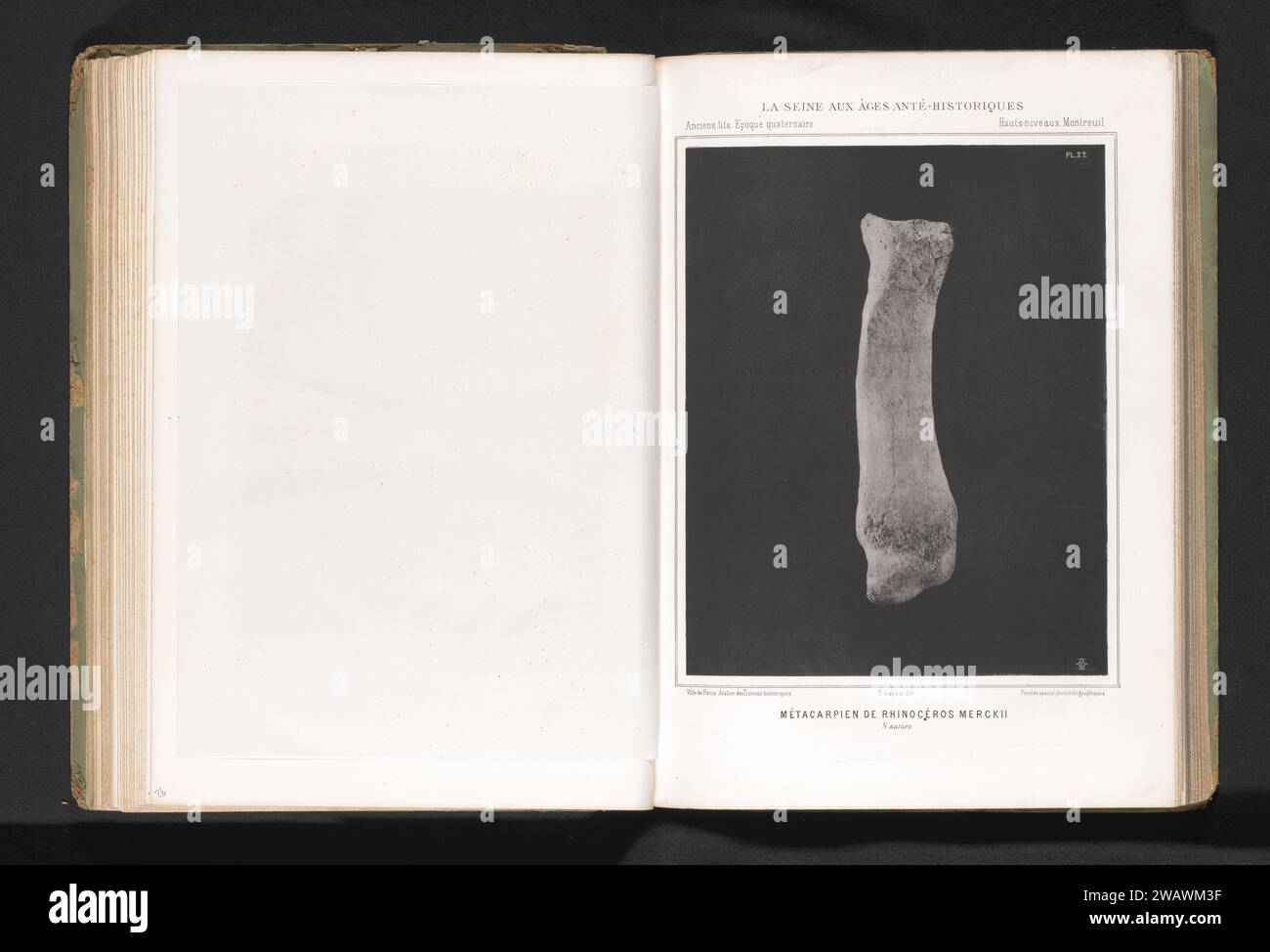 Midfoot bone of a rhino, Ville de Paris (Possible), c. 1864 - in or ...