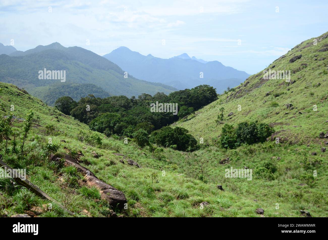 Ponmudi Hill Station, Kerala Stock Photo - Alamy
