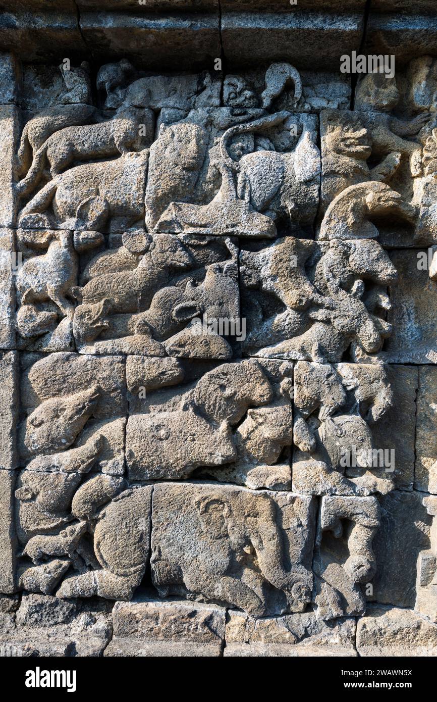Bas relief of animals on Borobudur, Magelang, Central Java, Indonesia ...