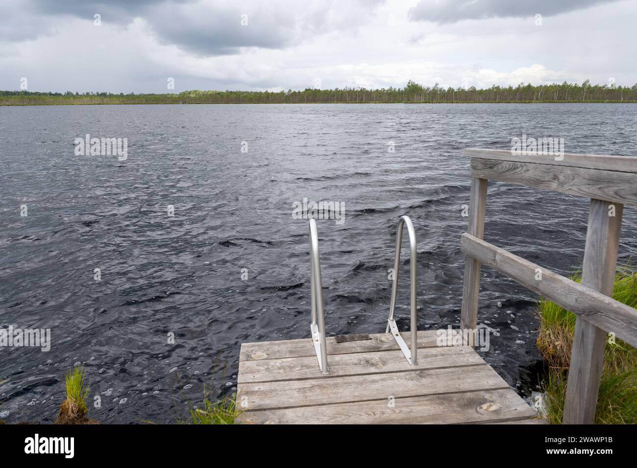 Landscape of lake and swimming ladder at Luhasoo bog in Estonia Stock ...