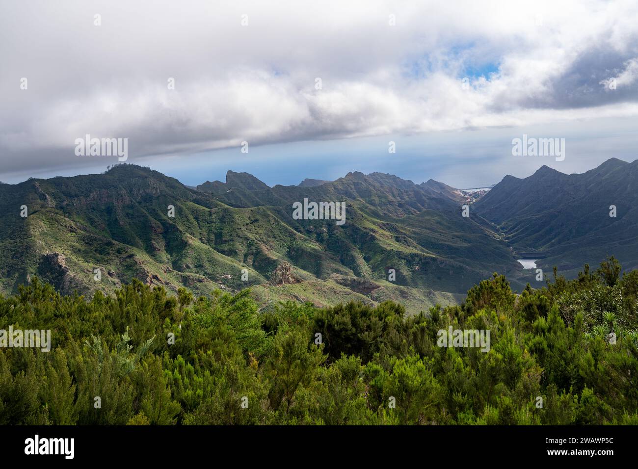 Tenerife parque rural de anaga hi-res stock photography and images - Alamy