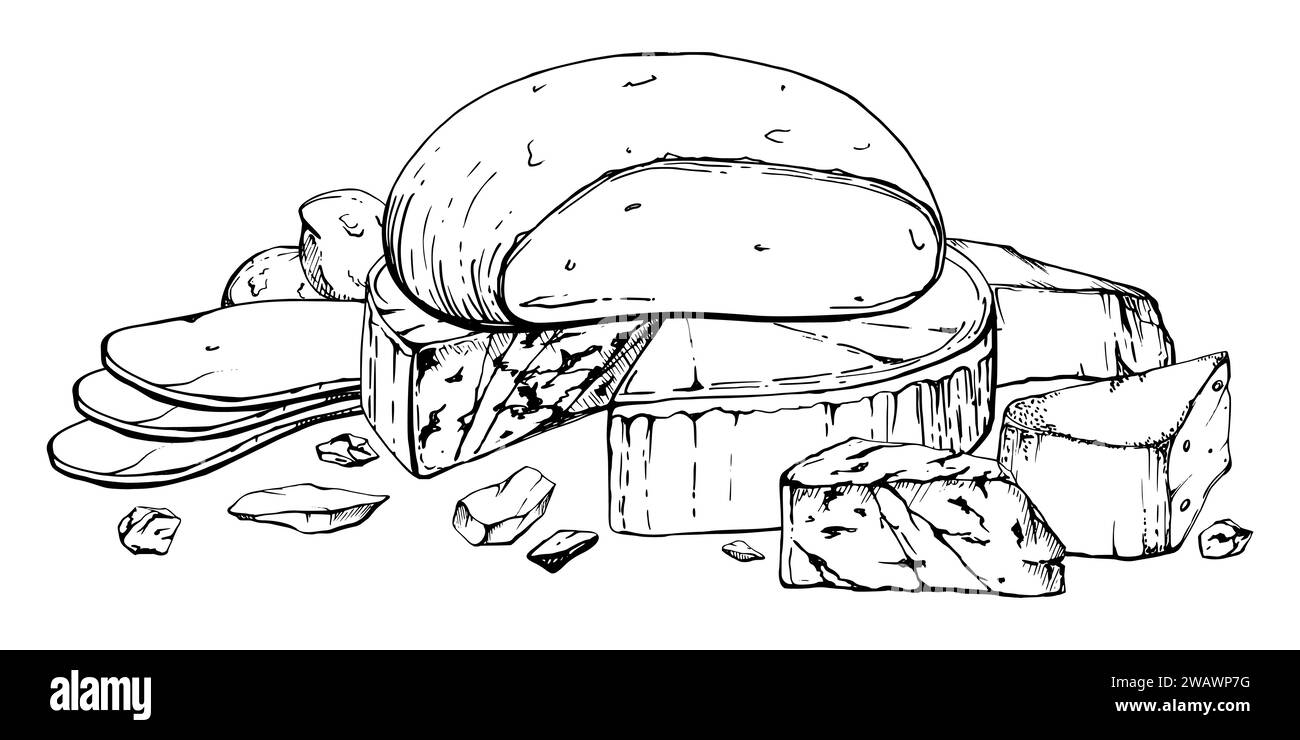 Hand drawn vector ink illustration. Assortment of cheese mozzarella ...