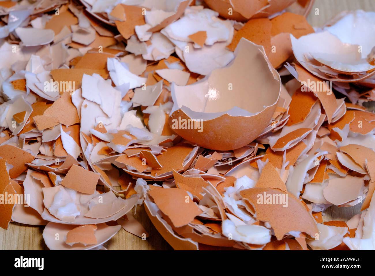 Broken eggshells. Recycling of kitchen waste, Shredded eggshells for ...