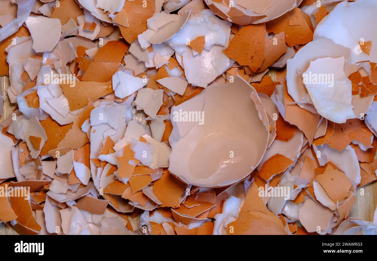 Broken eggshells. Recycling of kitchen waste, after cooking. Shredded ...