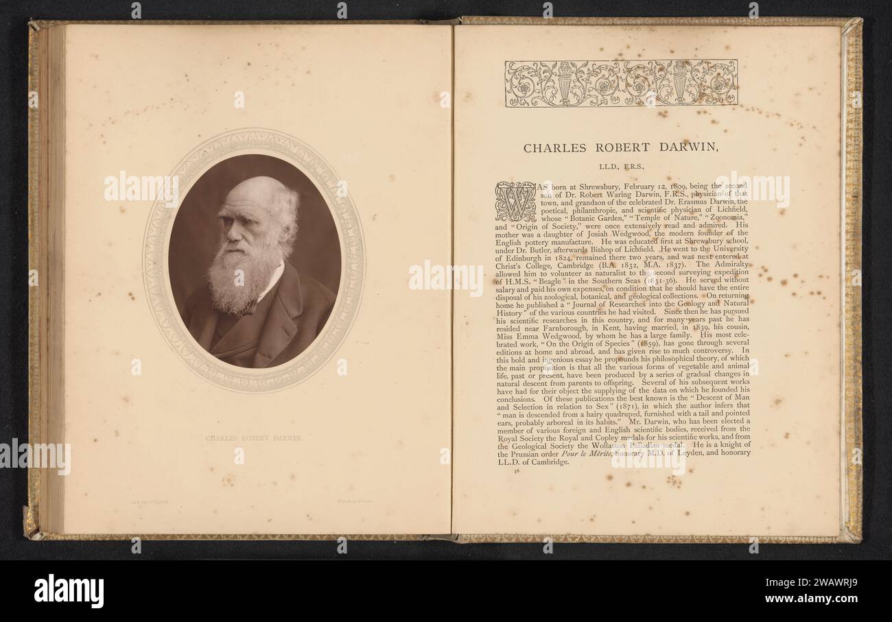 Charles Robert Darwin, Lock & Whitfield, c. 1873 - in or before 1878 ...