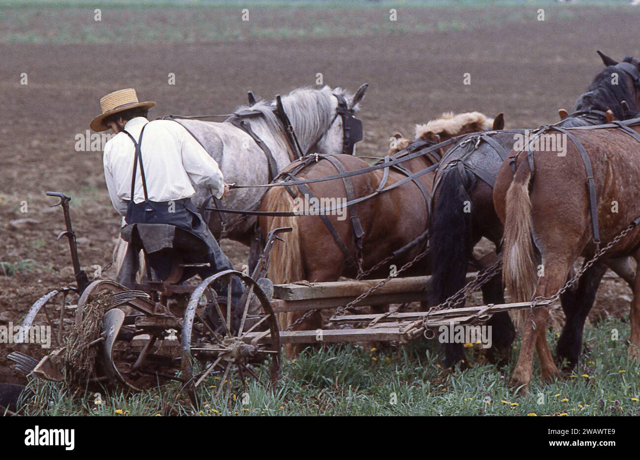 Amish identity hi-res stock photography and images - Alamy