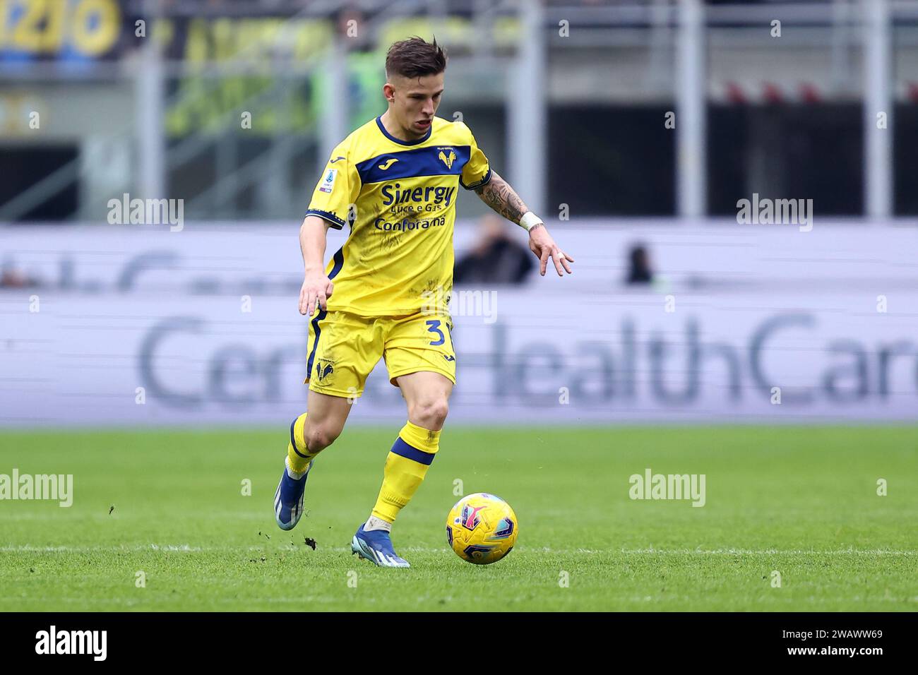 Suslov hi-res stock photography and images - Alamy