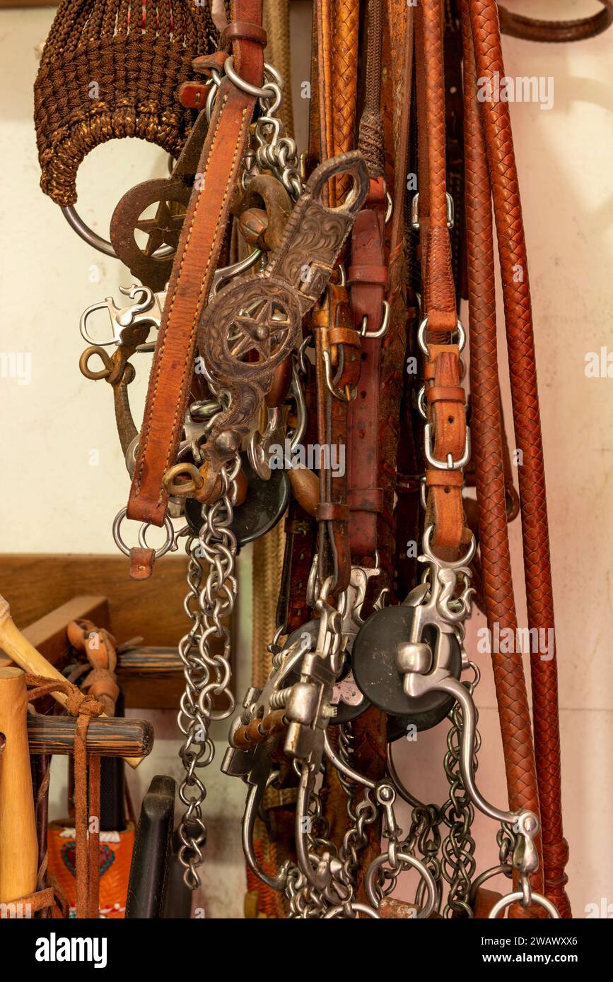 Horse saddles harness buckles and reigns - stock photo Stock Photo - Alamy