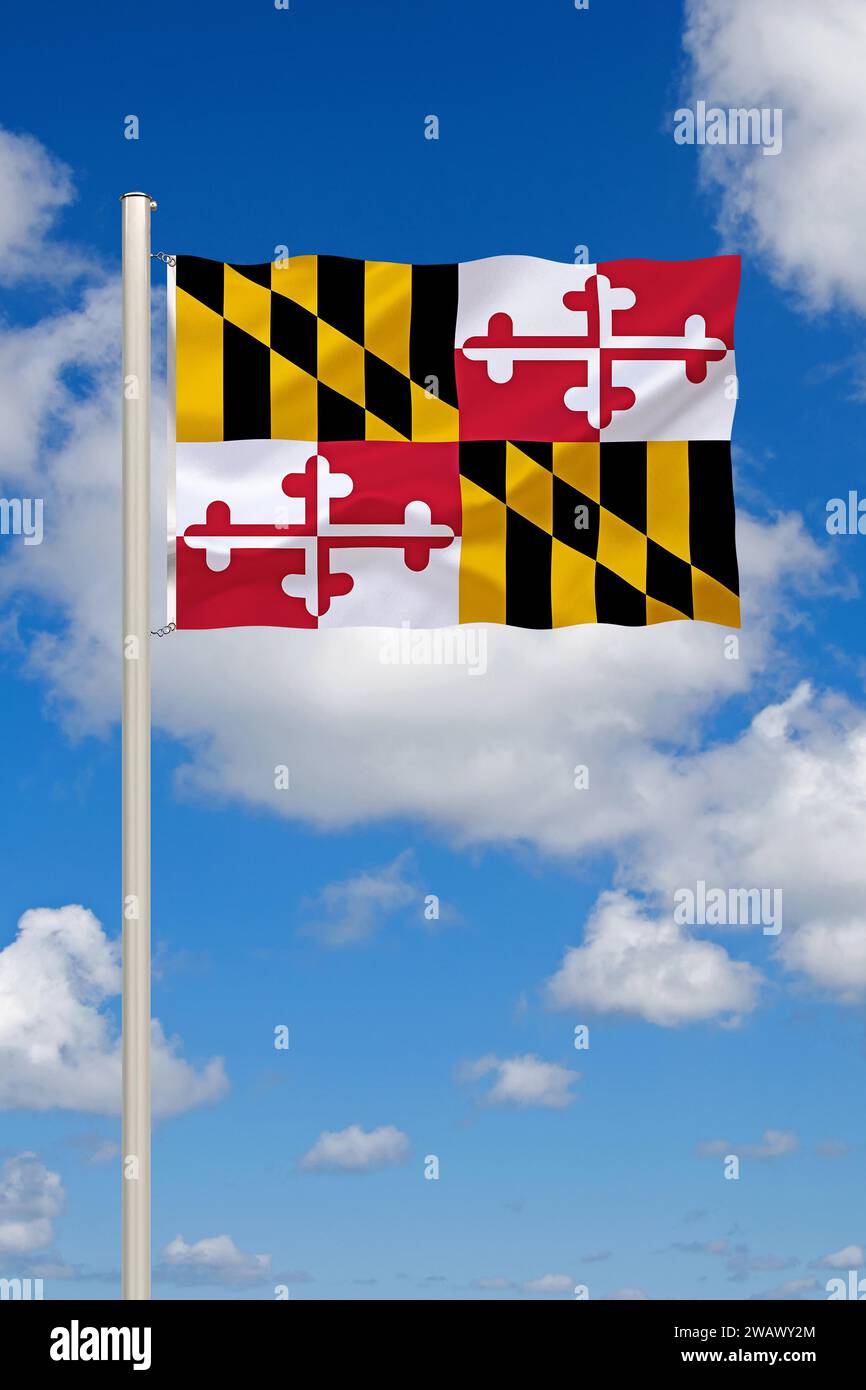 The flag of Maryland, State, USA, Studio Stock Photo - Alamy