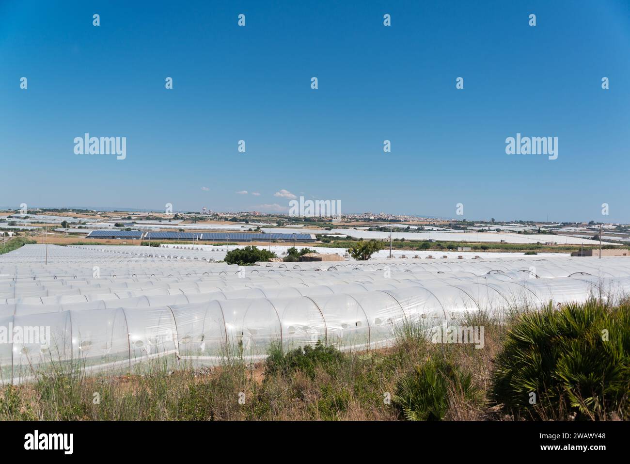 Landwirtschaft kalabrien hi-res stock photography and images - Alamy