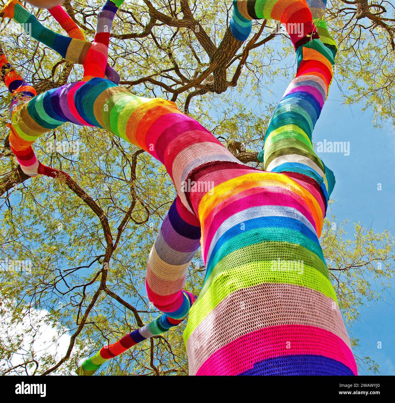 Bunter blatter hi-res stock photography and images - Alamy