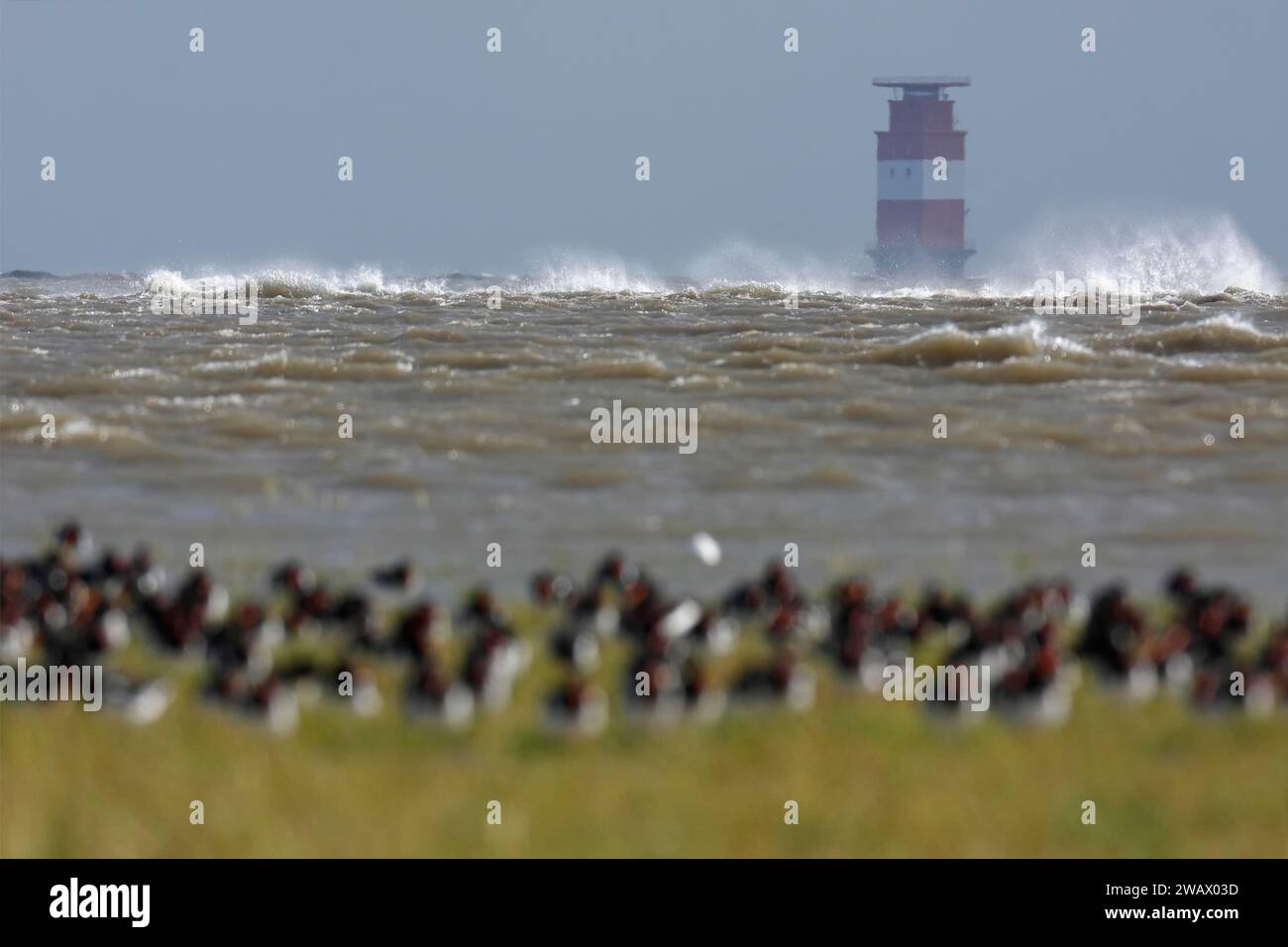 Lower beacon park hi-res stock photography and images - Alamy