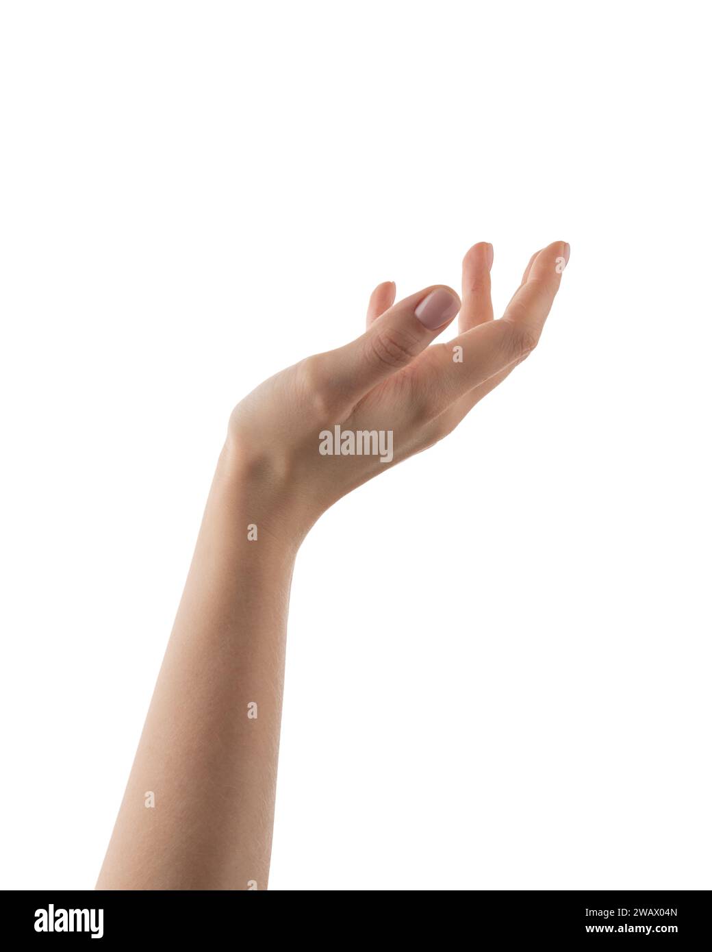 Young woman hand reaching or holding something isolated on white ...