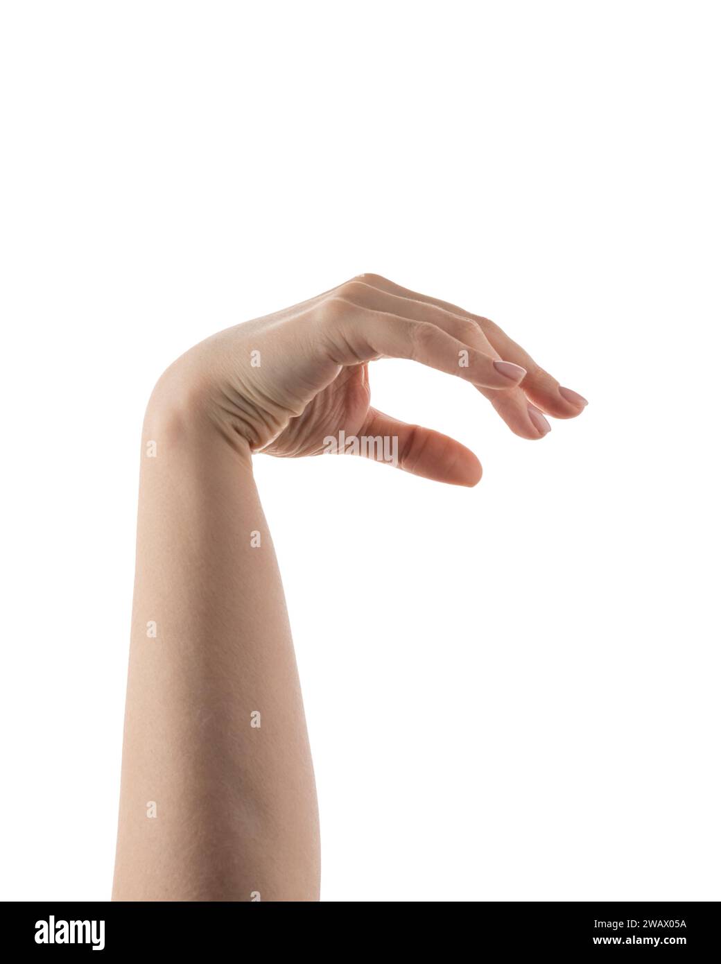 Young woman hand holding something with fingers isolated on white background, high detailed ...