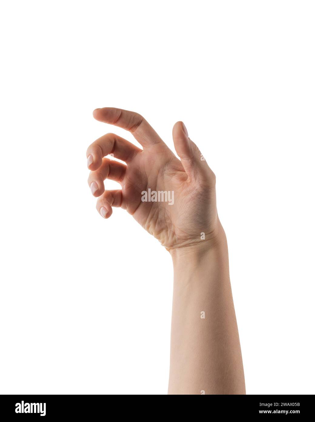 Young woman hand reaching or holding something isolated on white ...