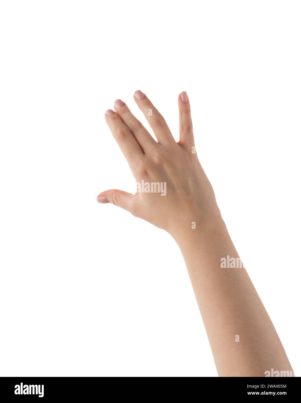 Young woman hand reaching or holding something isolated on white ...