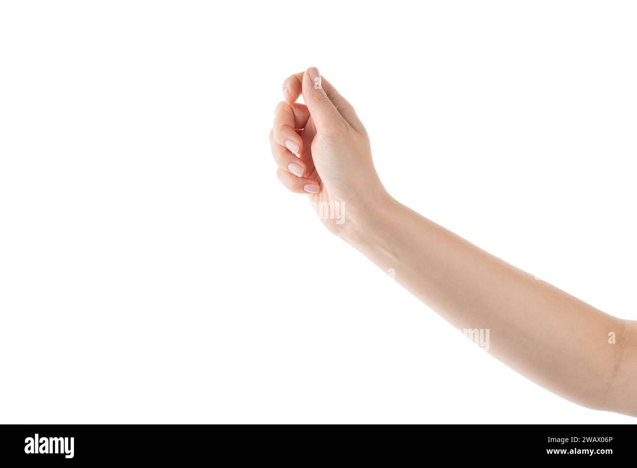 Young woman hand holding something like tablet isolated on white background, high detailed Stock ...