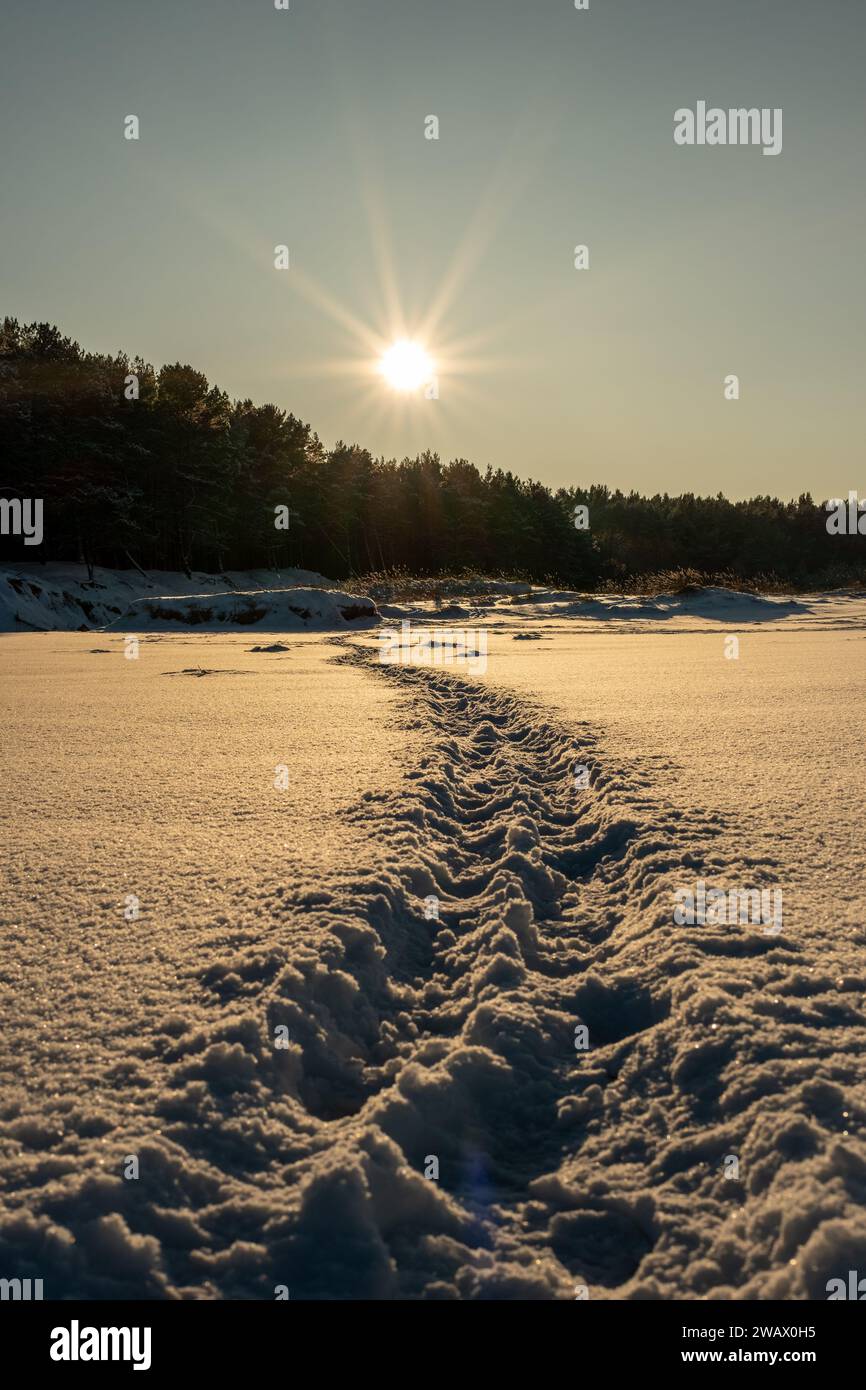 Footsteps in the snow, painting a silent symphony under the golden ...