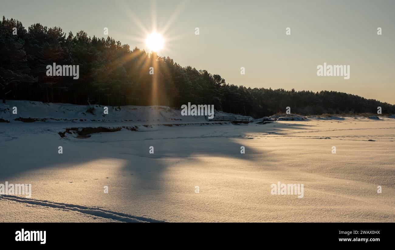 Tracks in the snow, an enchanting saga written in the golden hues of ...