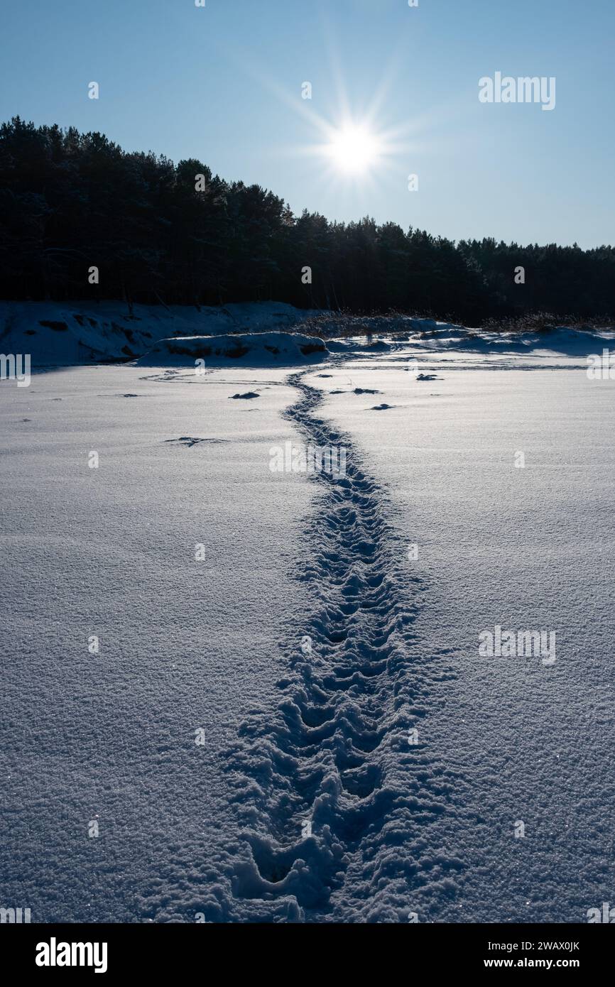A tale of passage unveiled in the soft glow of winter's golden-hued ...