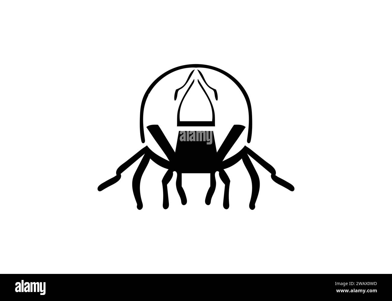 Desert spiders Stock Vector Images - Alamy