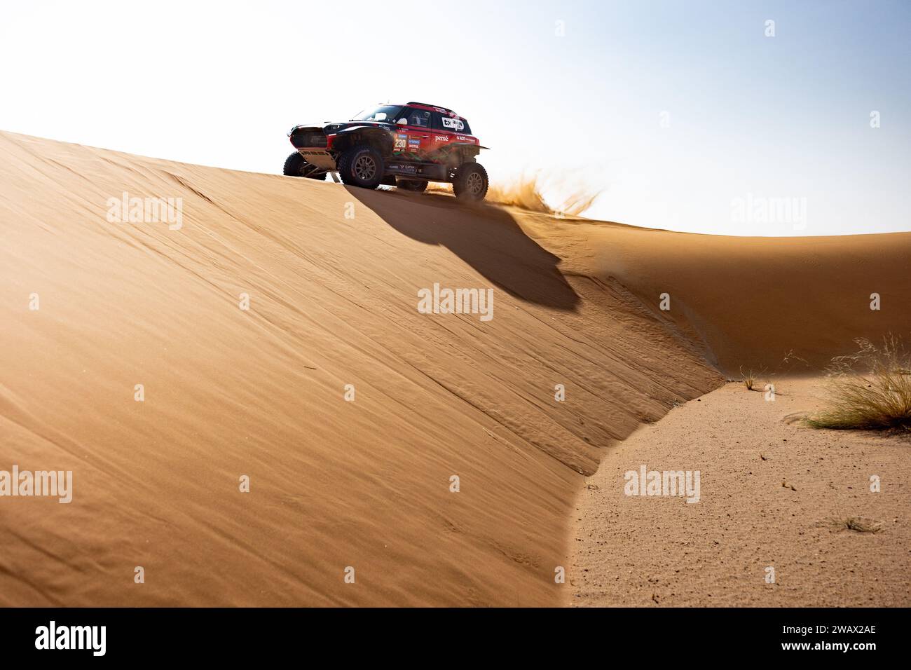 230 NAVARRO Pau (spa), REIS Goncalo (prt), X-Raid Mini JCW Team, Mini ...