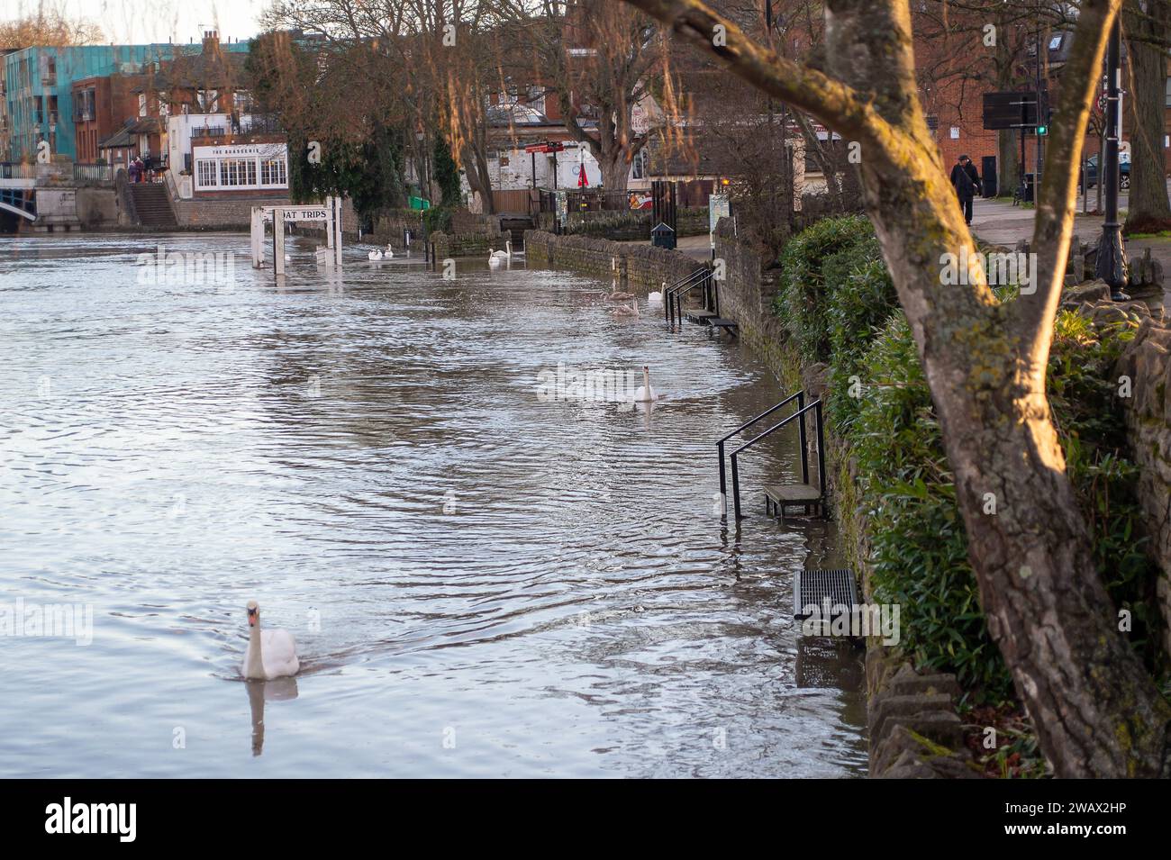 Windsor, UK. 7th January, 2024. Jennings Wharf next to the River Thames ...