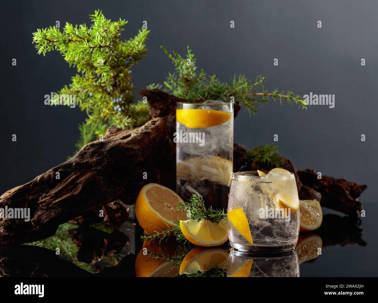 Cocktail gin-tonic with ice and lemon on a black reflective background ...