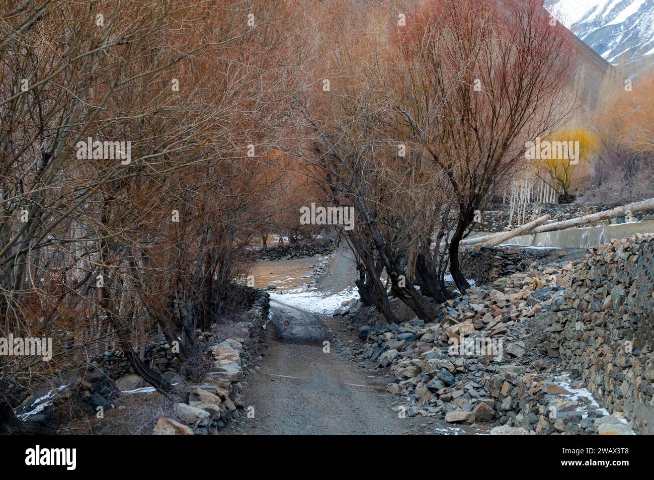 winter landscape of northern areas of Pakistan Stock Photo - Alamy