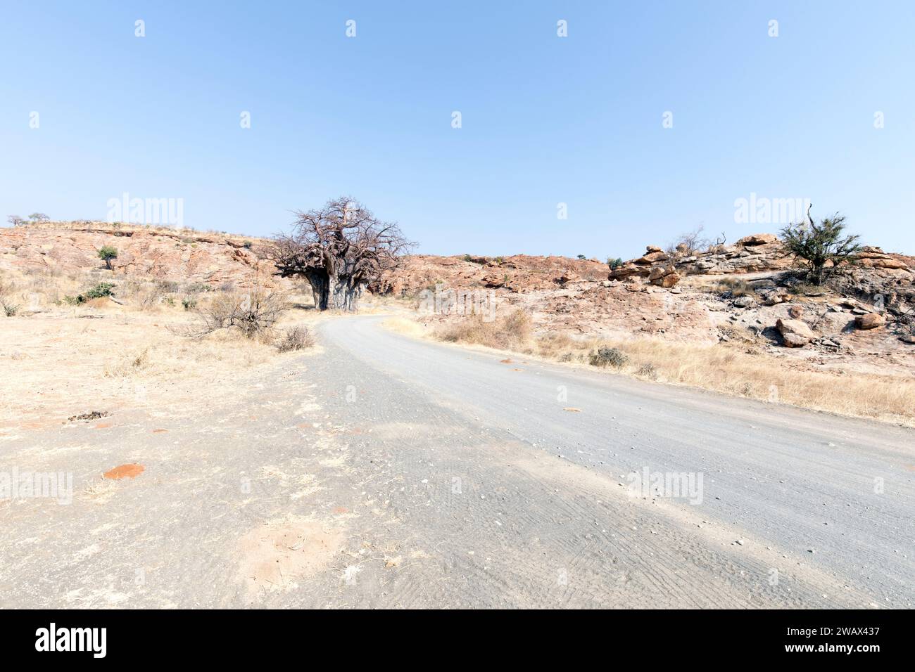 Landscape of Mapungubwe national park in Southafrica Stock Photo - Alamy
