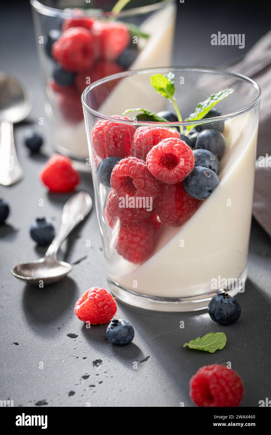 Fresh and sweet Panna Cotta made of berries and gelatin. Panna Cotta ...