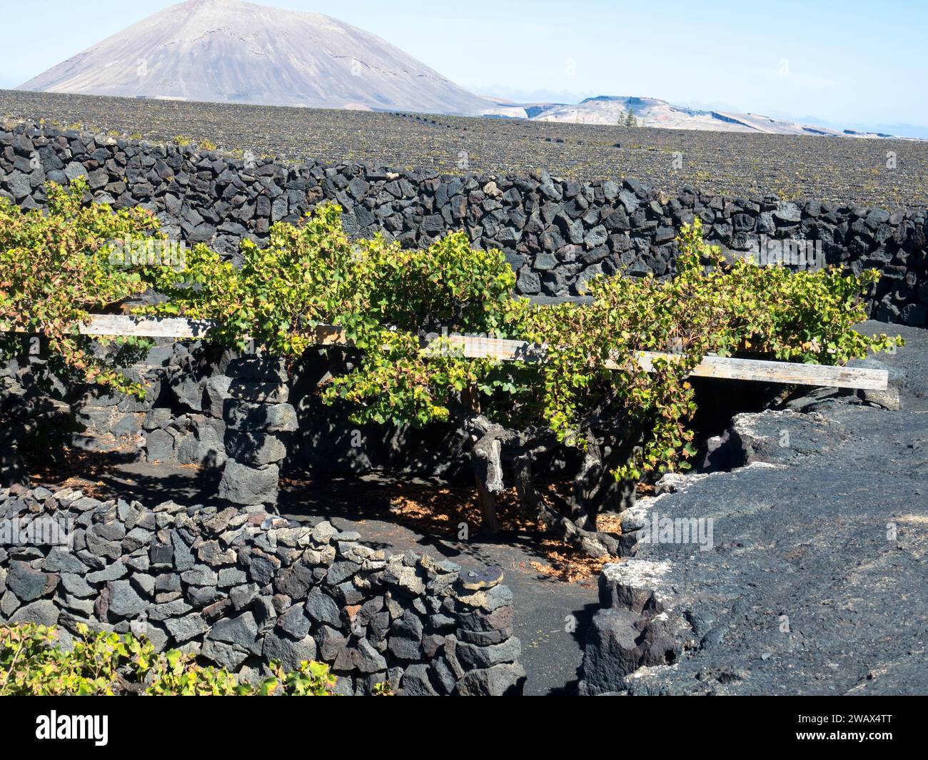 Volcanic soil hi-res stock photography and images - Alamy