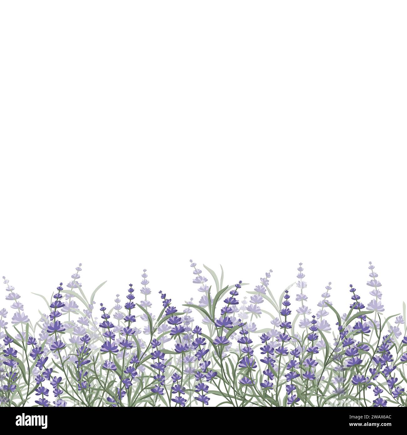 A beautiful purple-lavender border, for the design of postcards ...