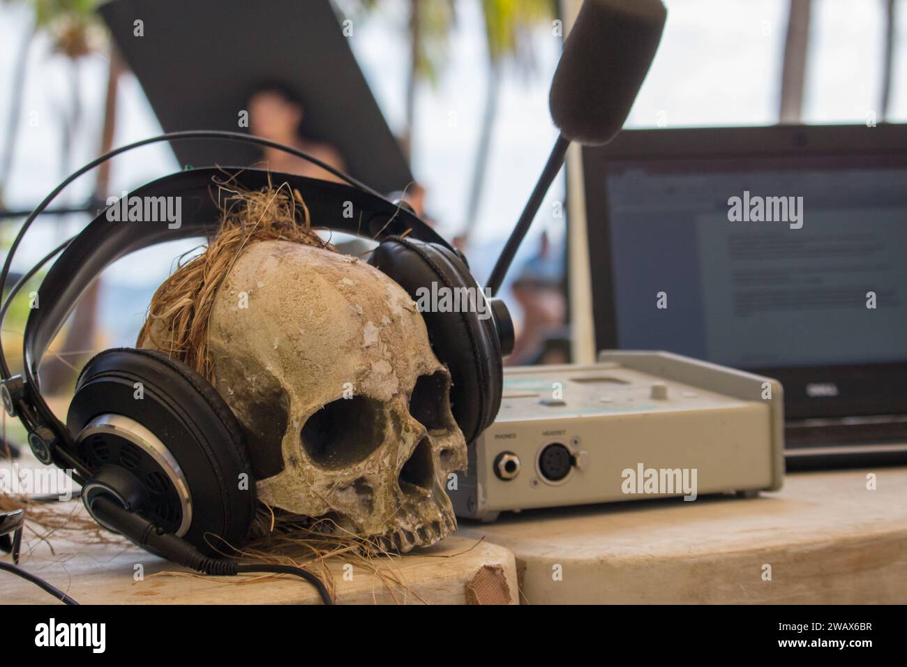 Human skull with earphones and microphone. Music and sound concept ...