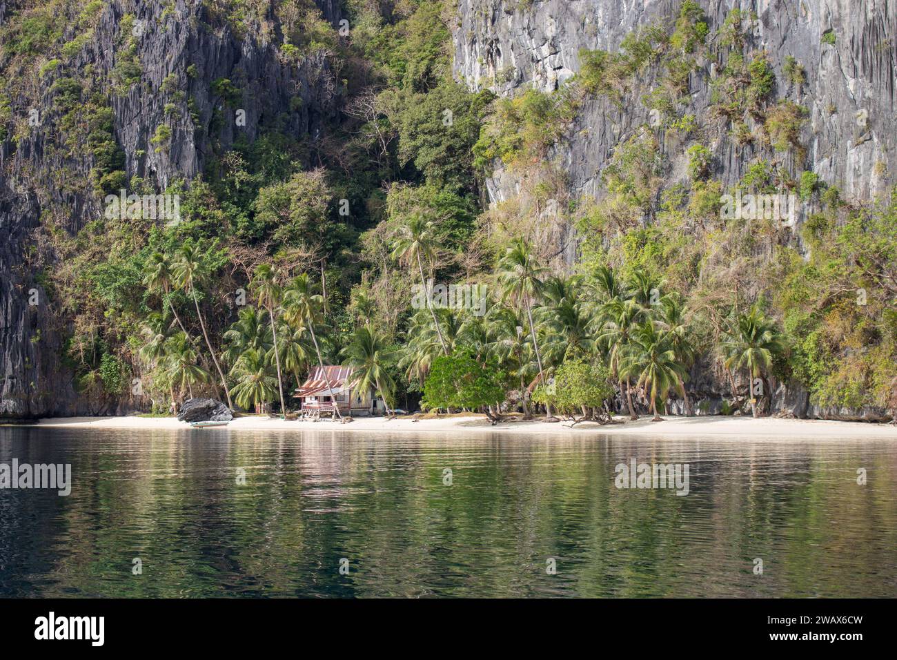 Tropical hut on seacoast. Bamboo cabin on sand beach under palm trees ...