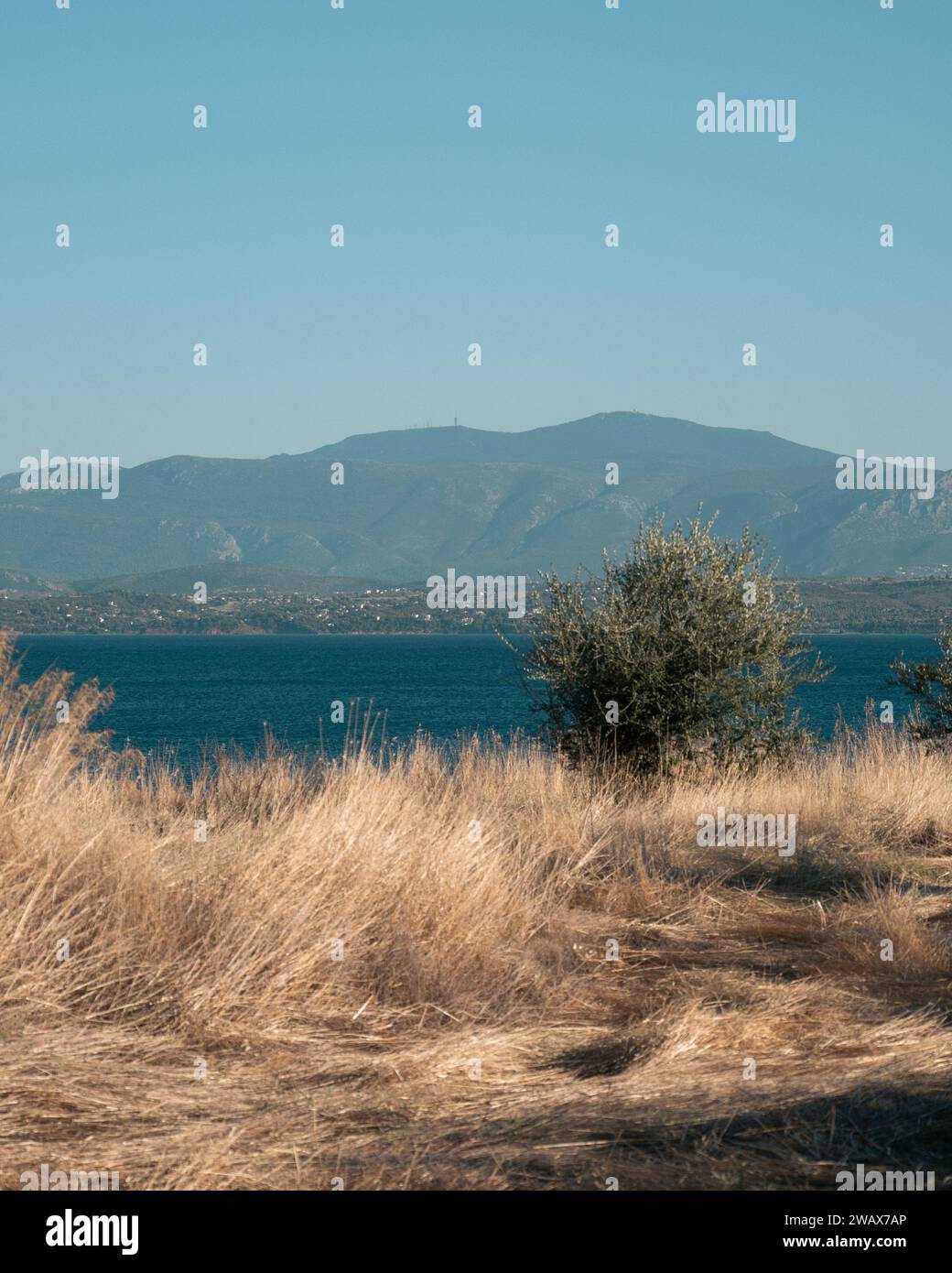 Euboea island hi-res stock photography and images - Alamy