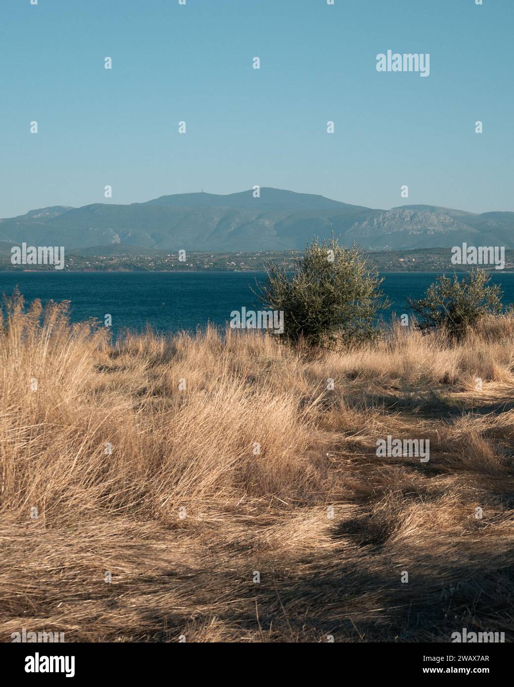 Greece greek evia island hi-res stock photography and images - Alamy