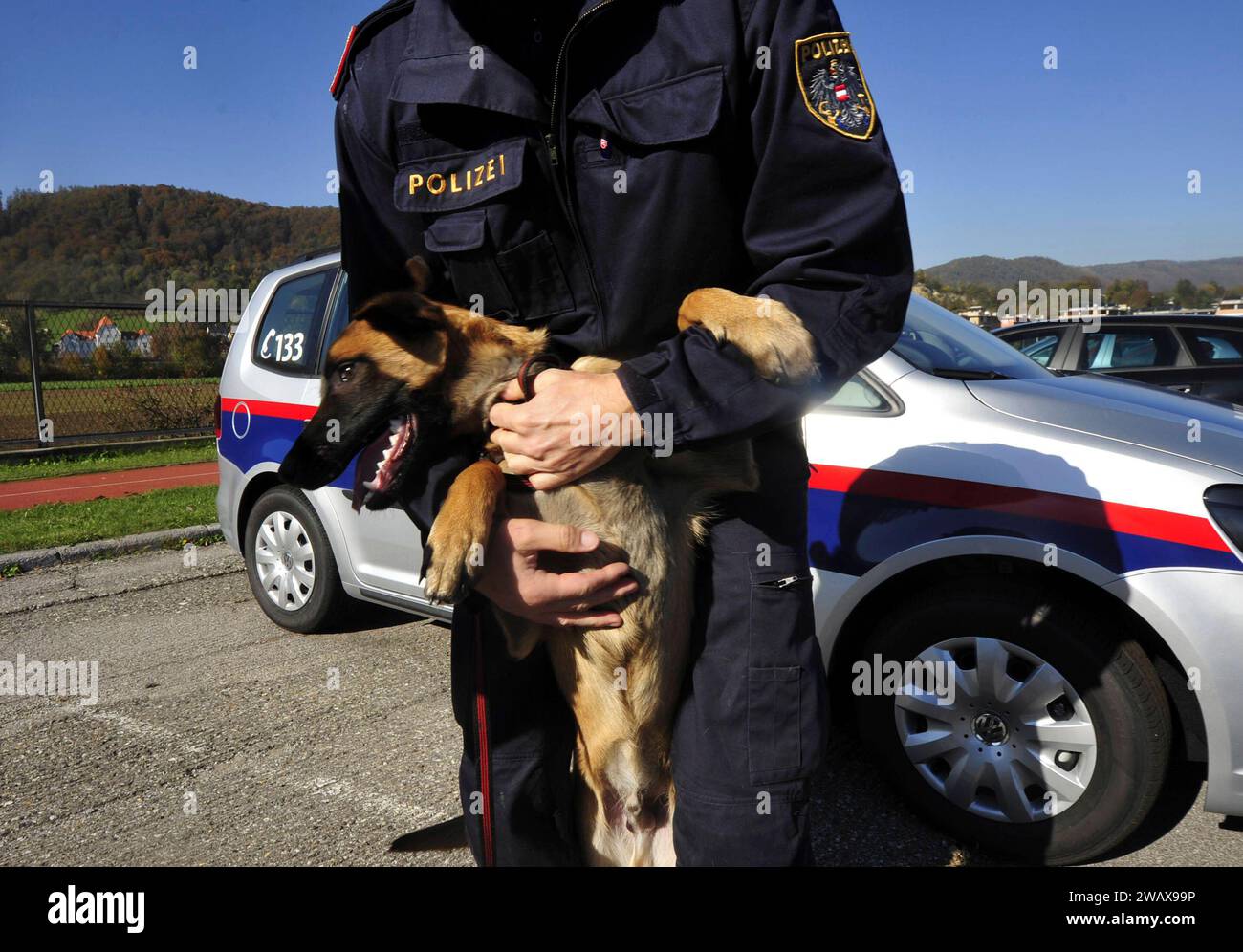 austrian police force is as any other police symbols and signs of the ...