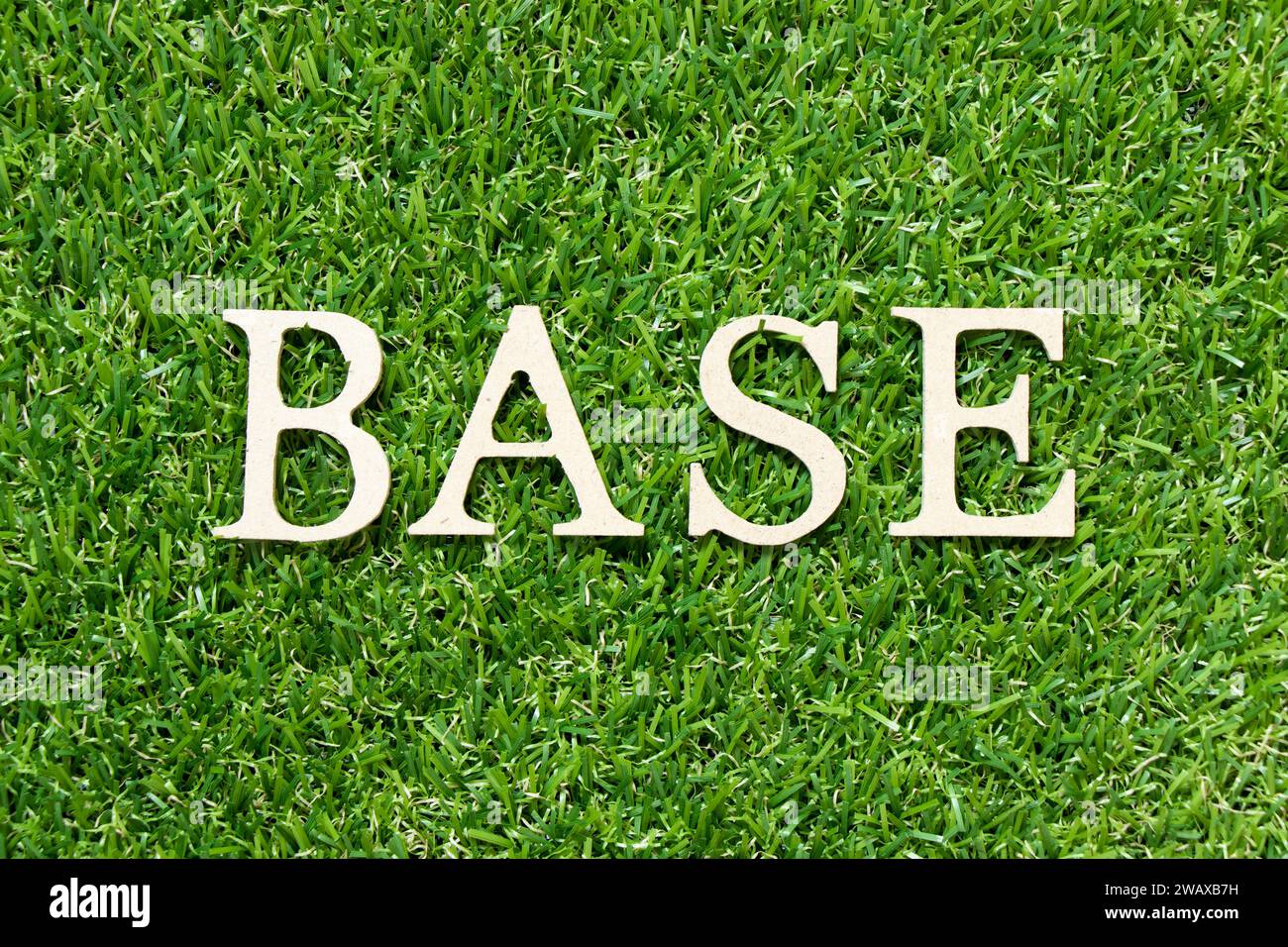 Wood letter in word base on green grass background Stock Photo - Alamy