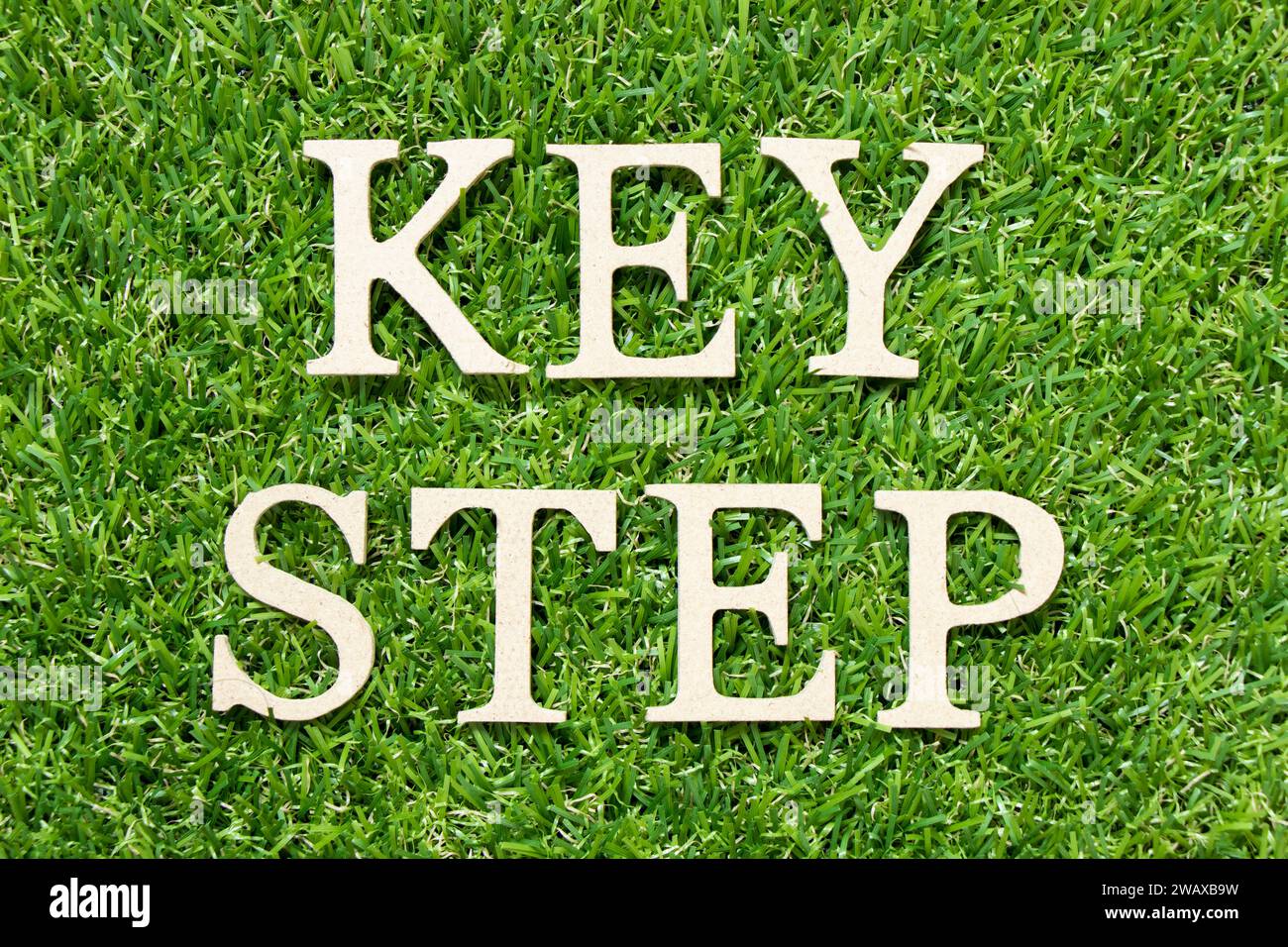 Wood letter in word key step on green grass background Stock Photo - Alamy