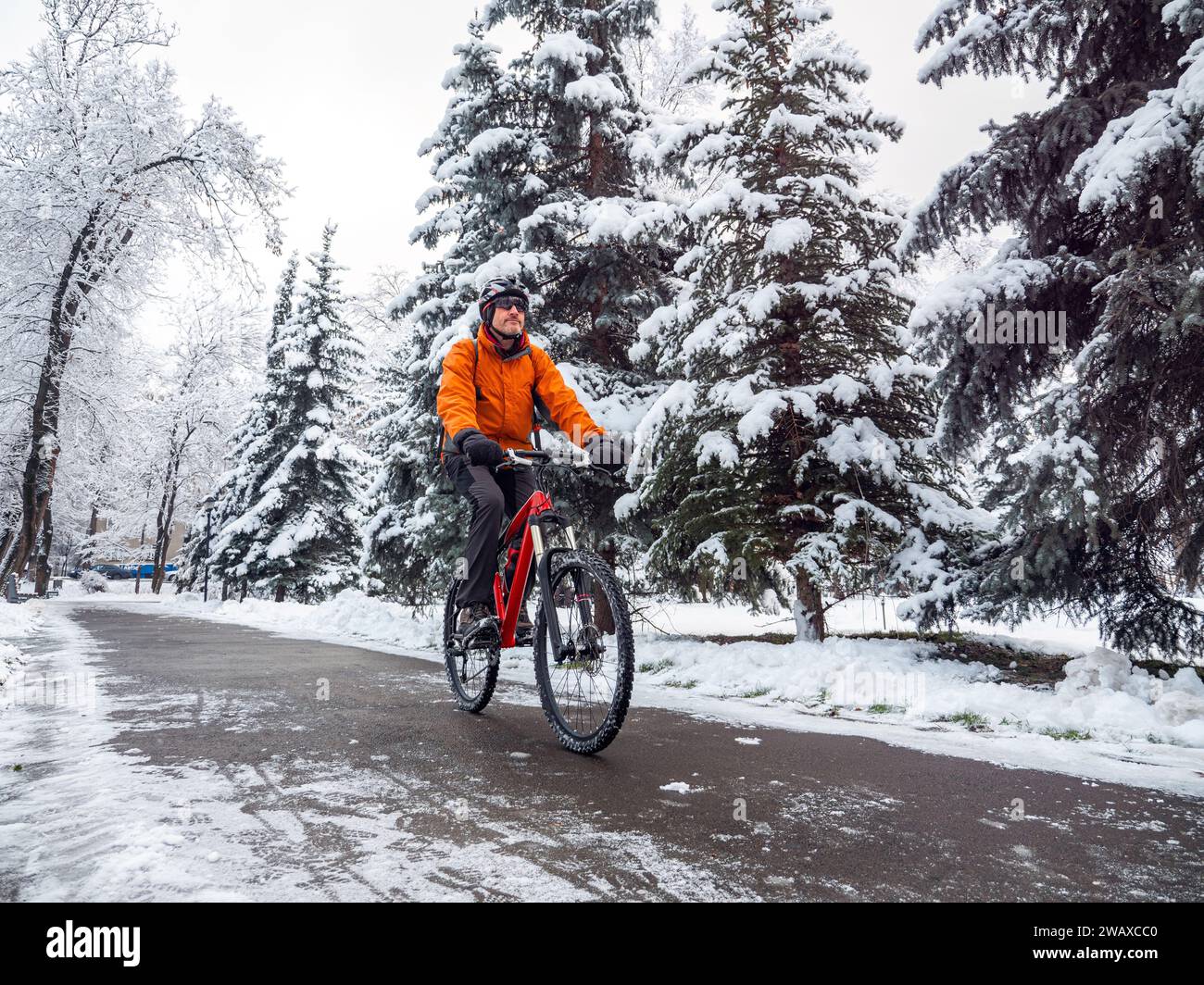 A guy rides a bicycle along the road among snow covered trees. A man on ...