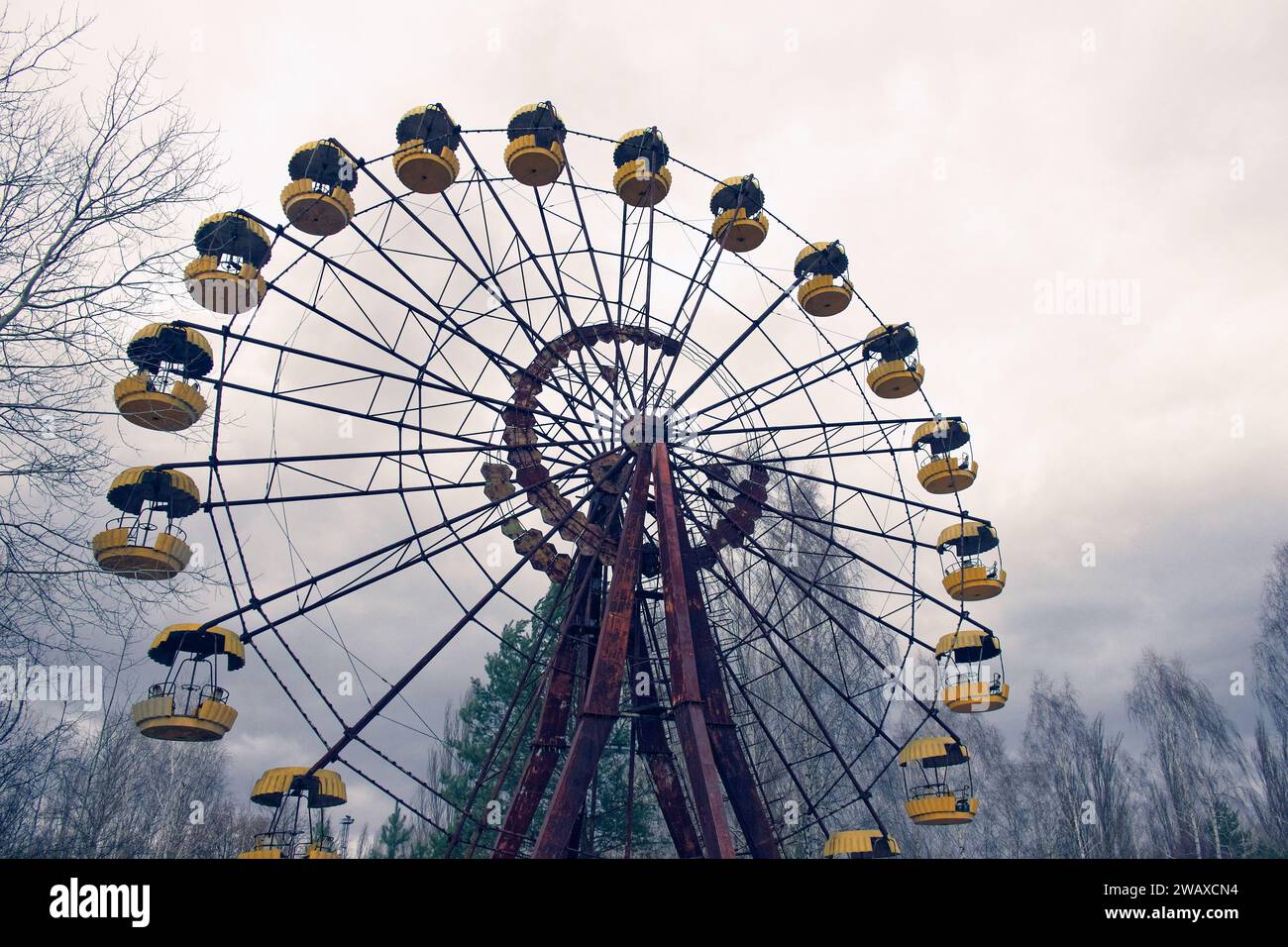 An old Ferris wheel with yellow gondolas, surrounded by trees Stock ...